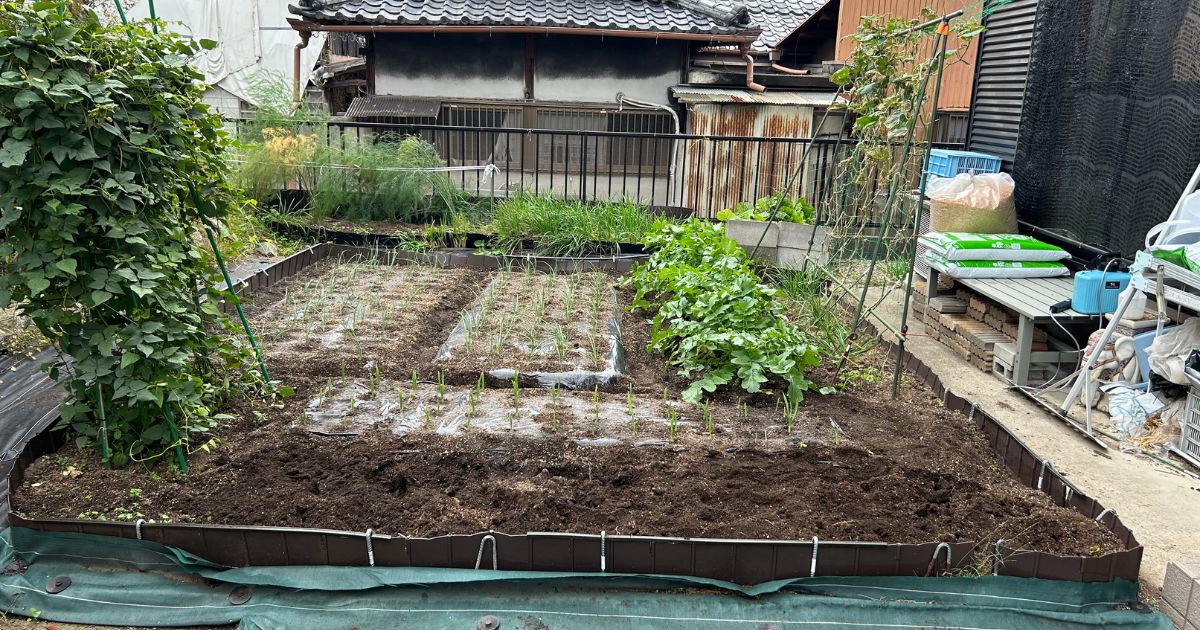 カルス NC-Rで連作障害改善のコツと土壌改良剤の活用術